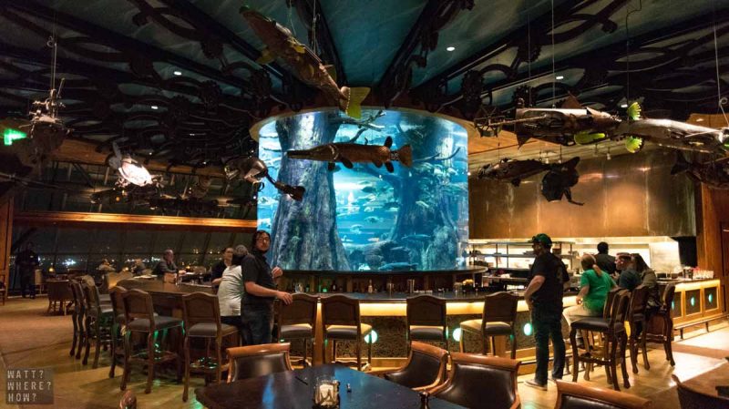 The Bass Pro Pyramid Memphis: A paradise for the outdoor enthusiast or ...