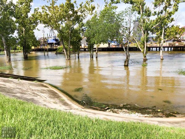Algiers Point, New Orleans: A forgotten haven of heritage houses from ...